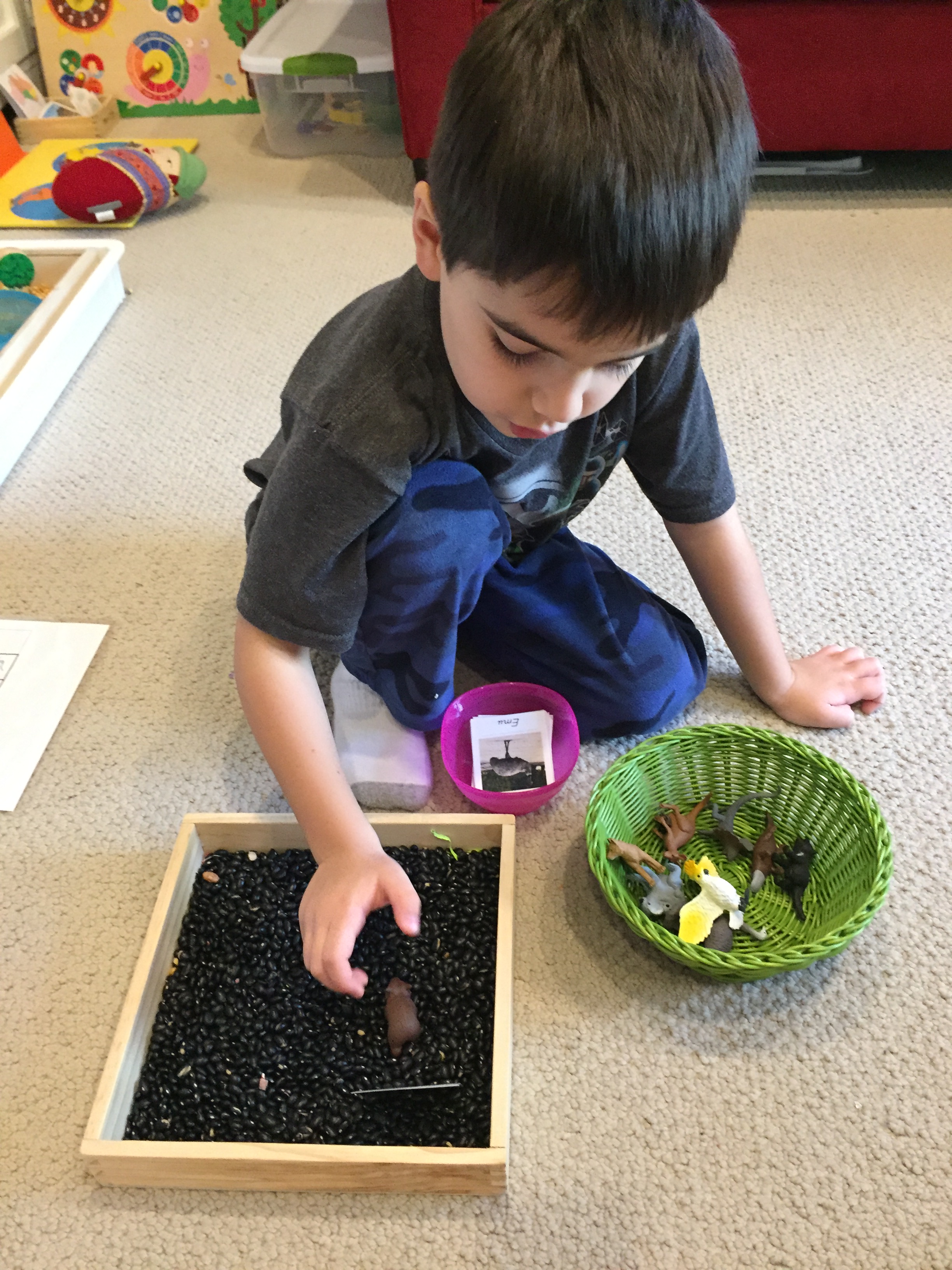 animals2 | Little Learning Lane