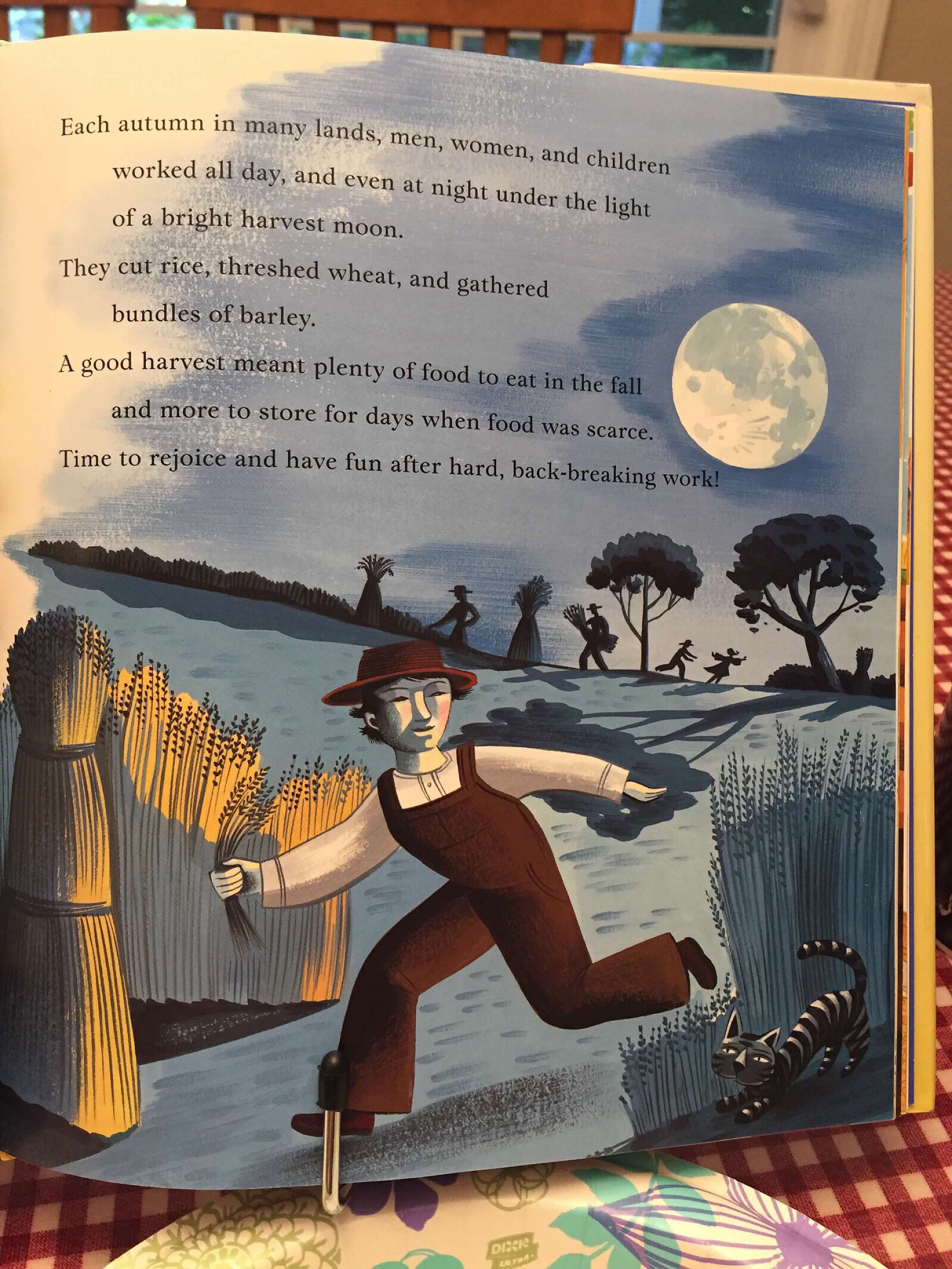 img_3785 | Little Learning Lane