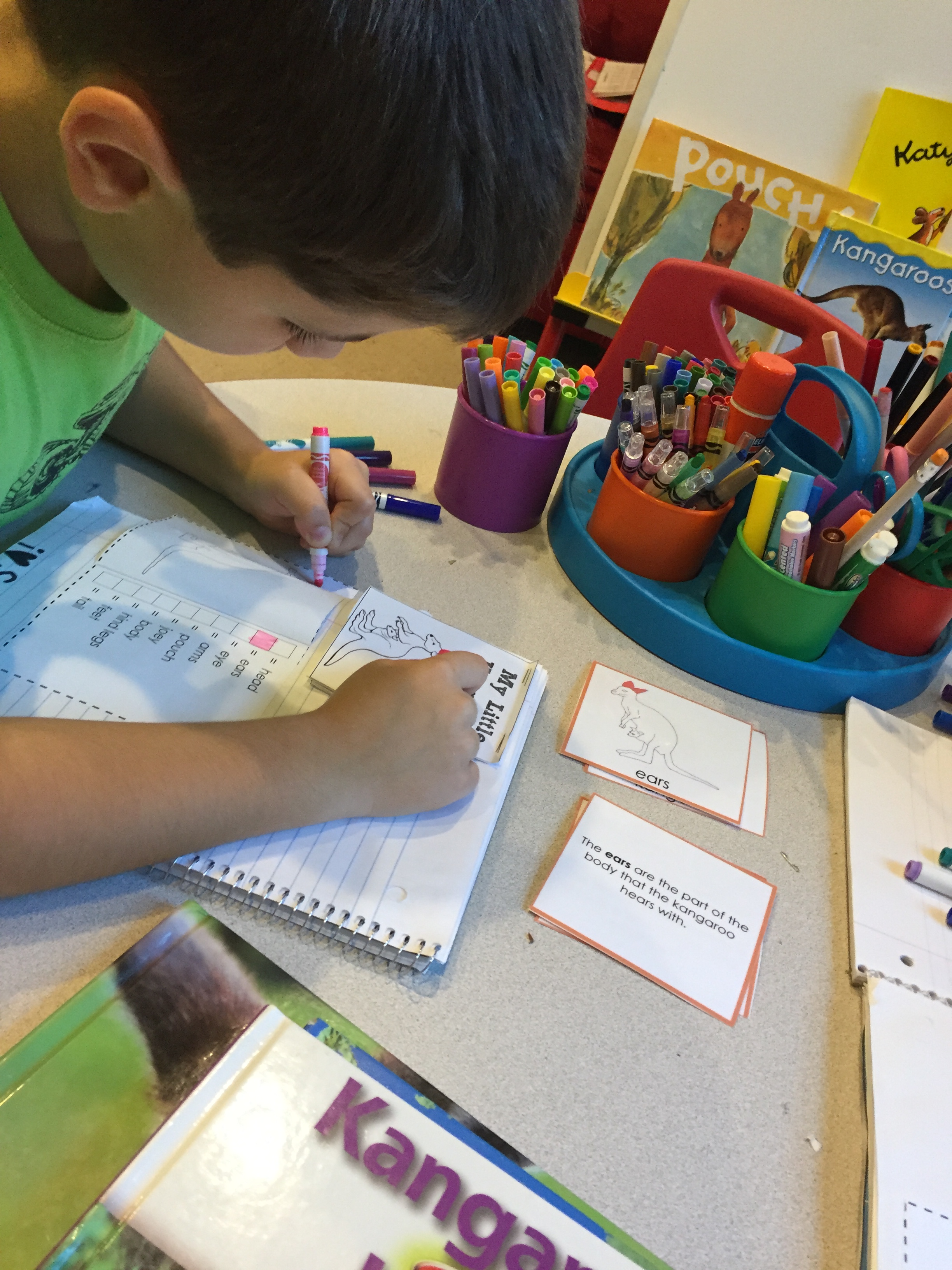 kangparts4 | Little Learning Lane