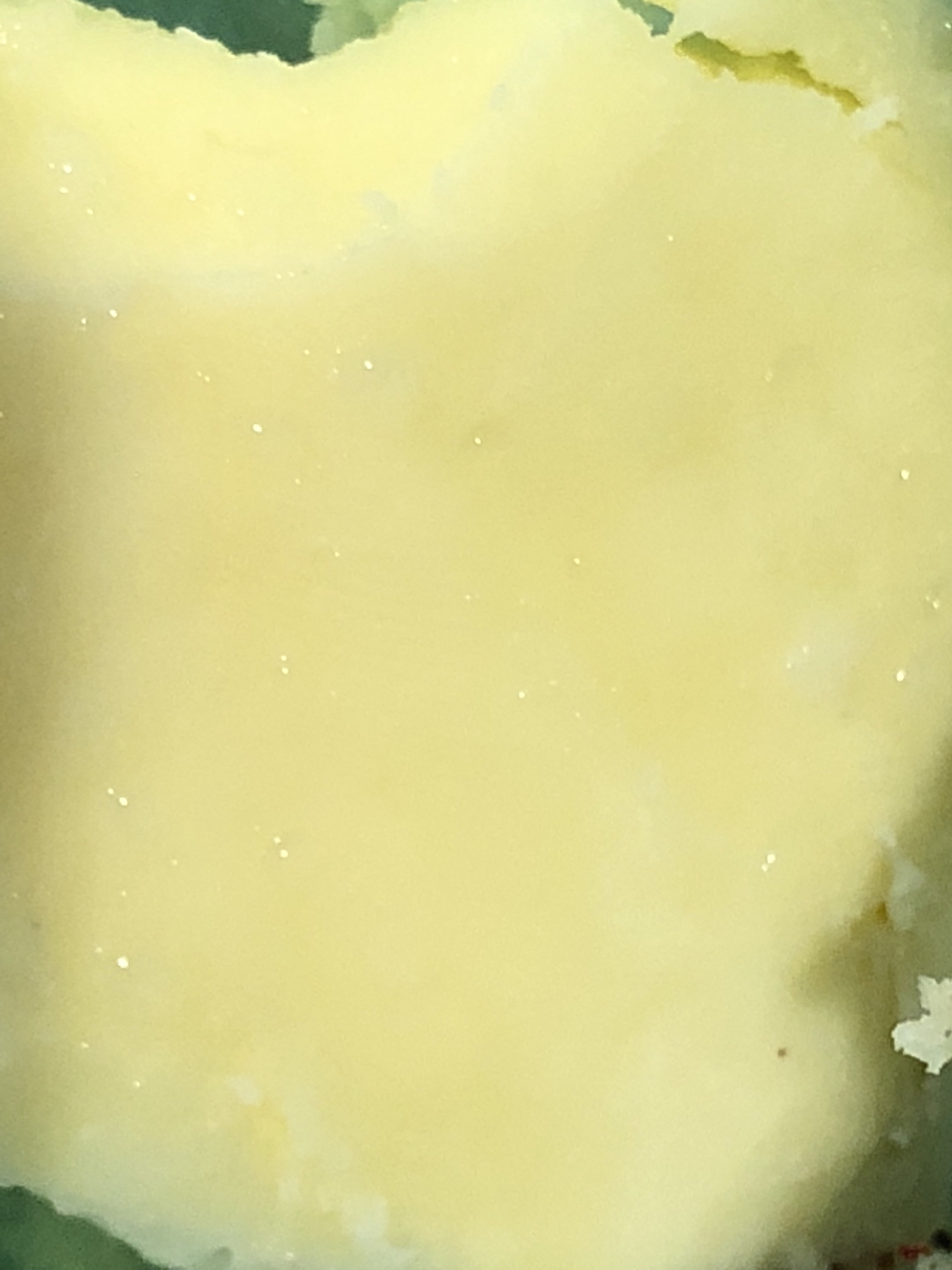 cc8440f8-51a1-4665-82de-a0ef10c00f5c-13655-000011317c6f3ca4_file ...