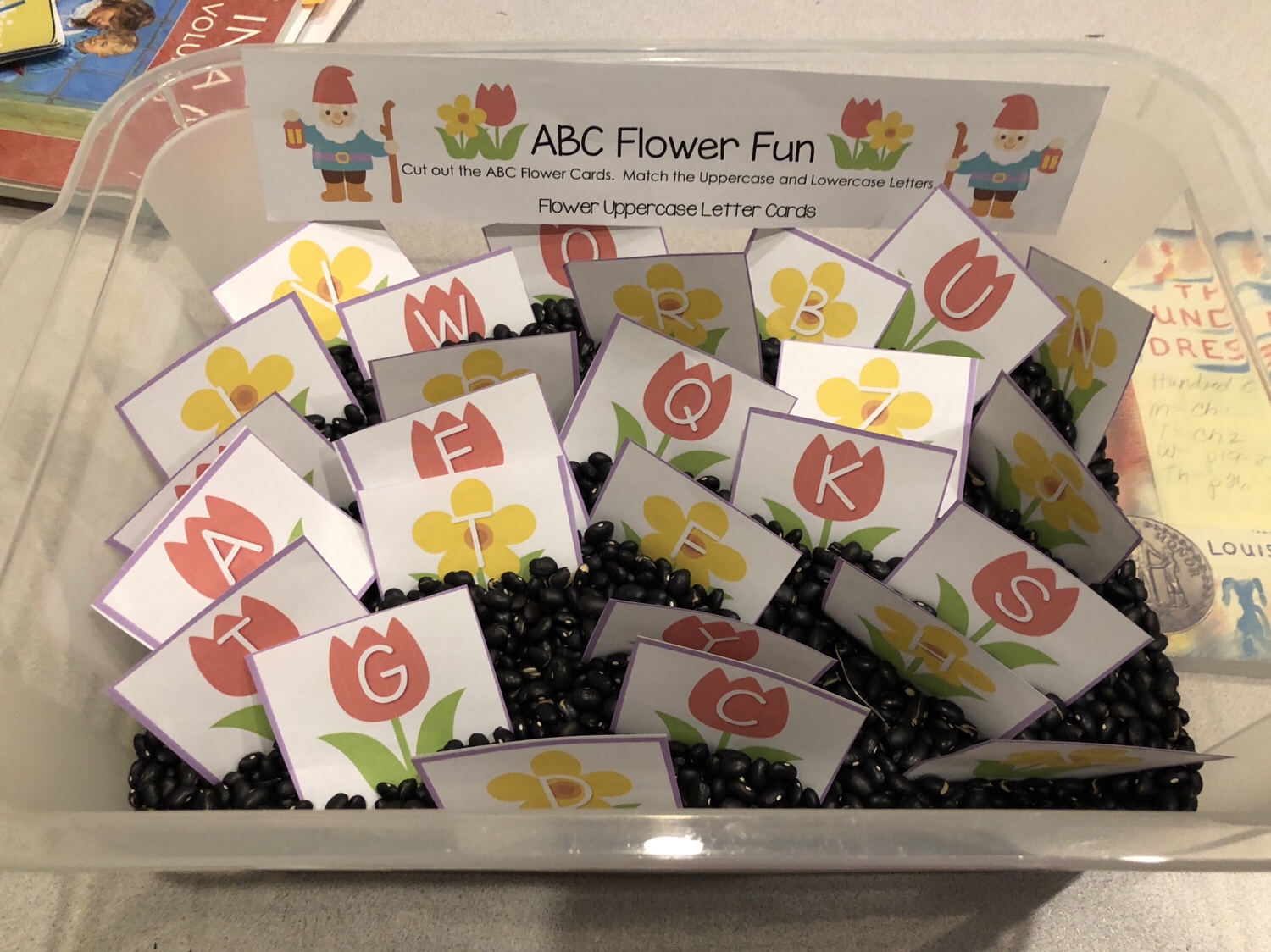 img_1538-2 | Little Learning Lane