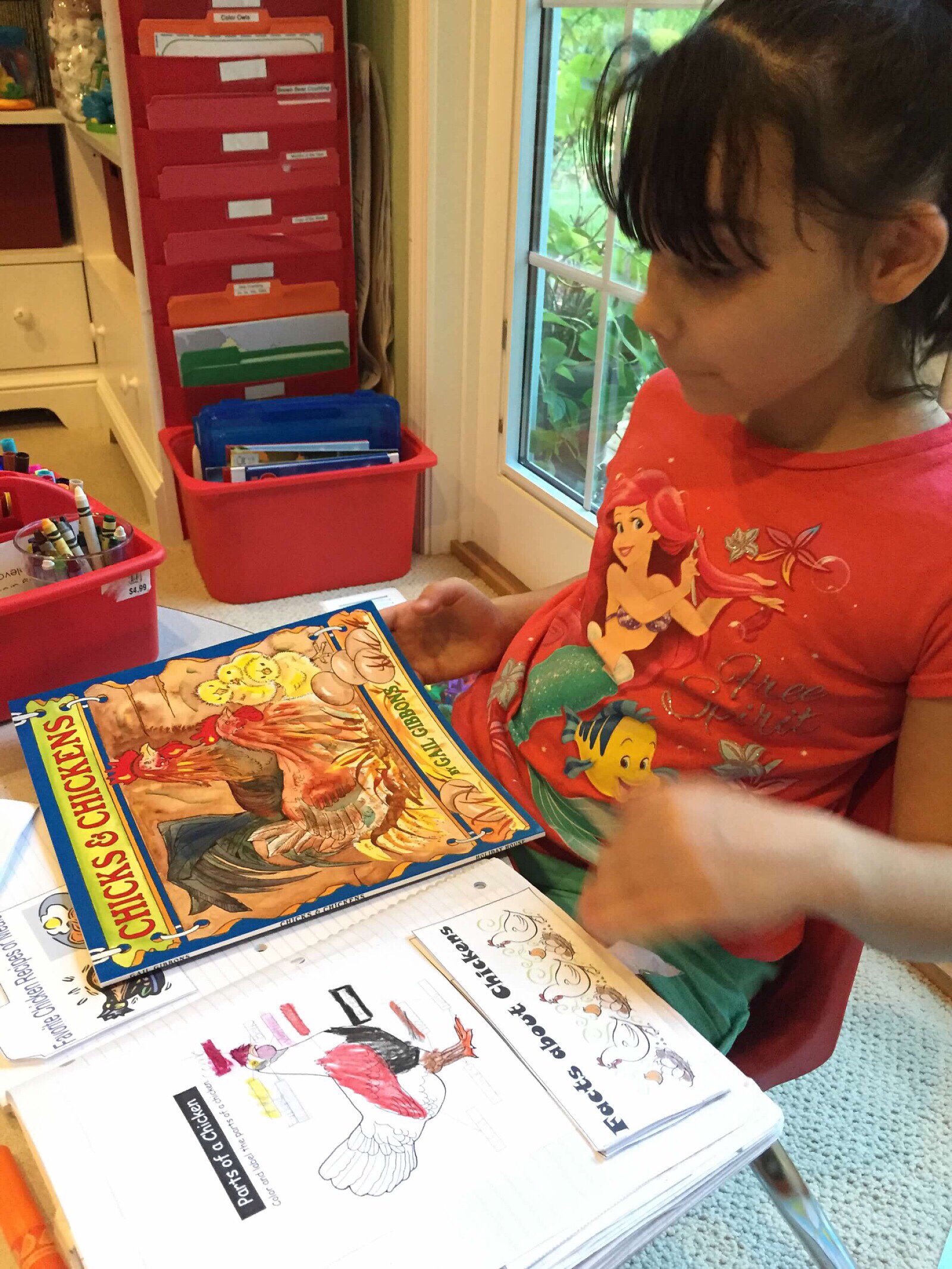 img_3061 | Little Learning Lane