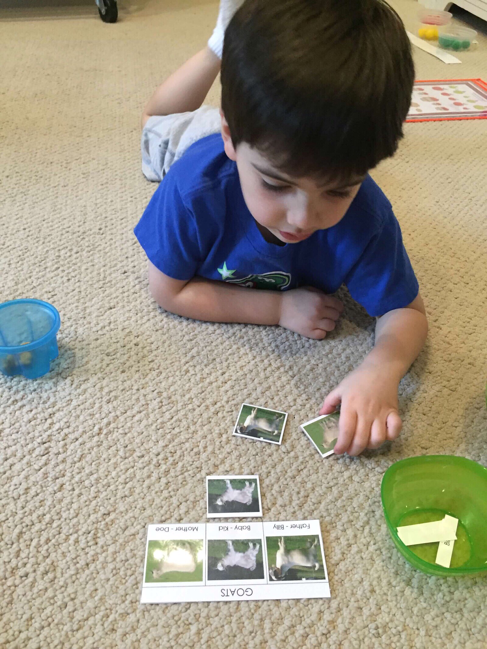 img_3084 | Little Learning Lane