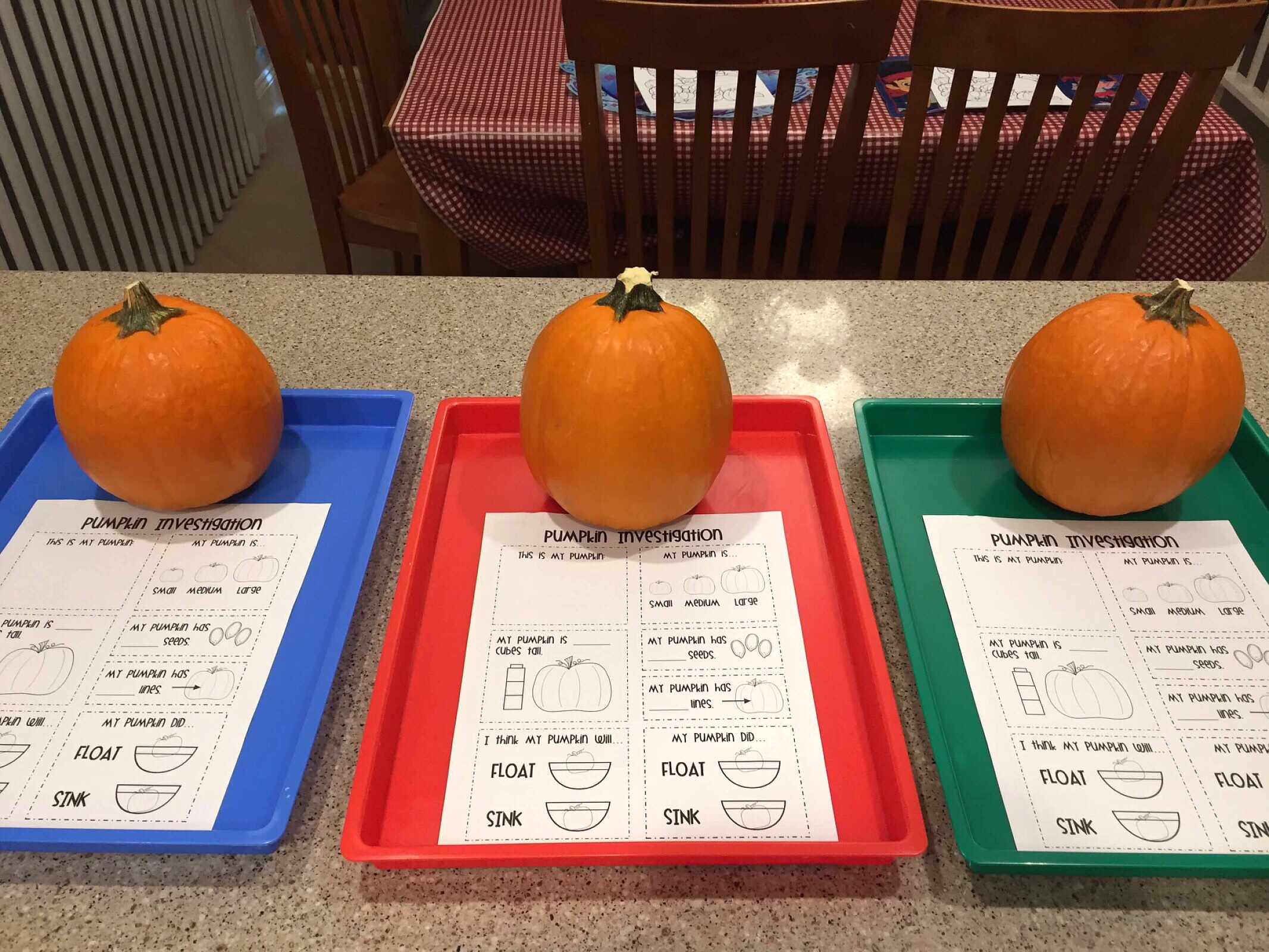 img_3102 | Little Learning Lane