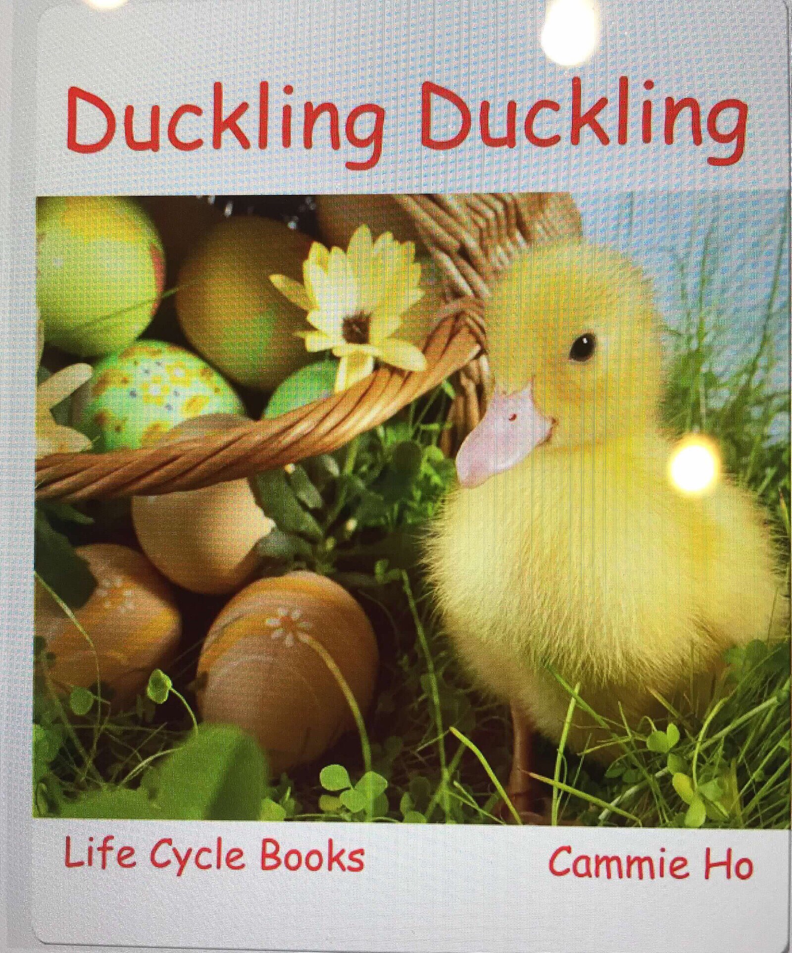 Yellow Ball | Little Learning Lane