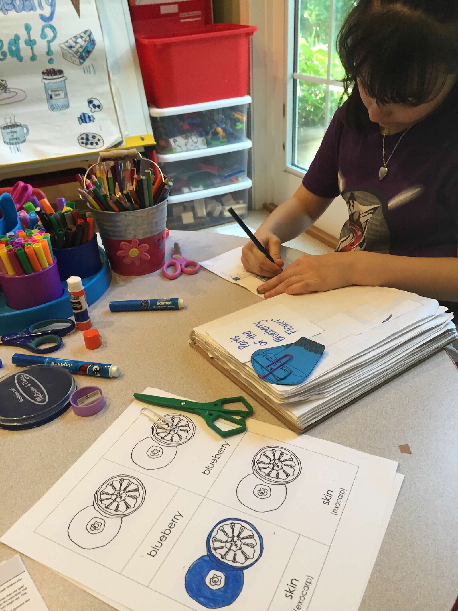 img_3689 | Little Learning Lane