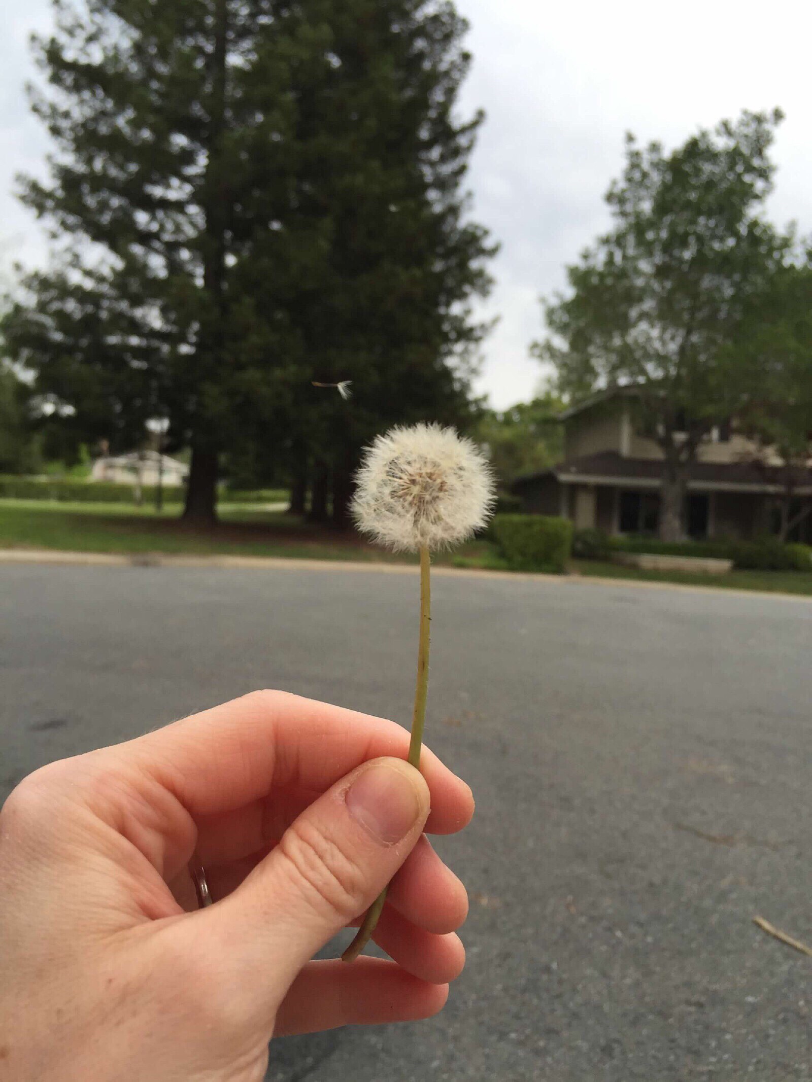 The Quiet Way Home | Little Learning Lane