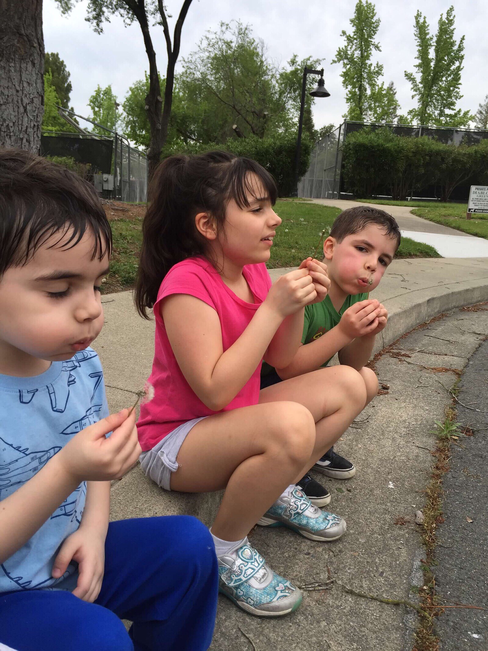 The Quiet Way Home | Little Learning Lane