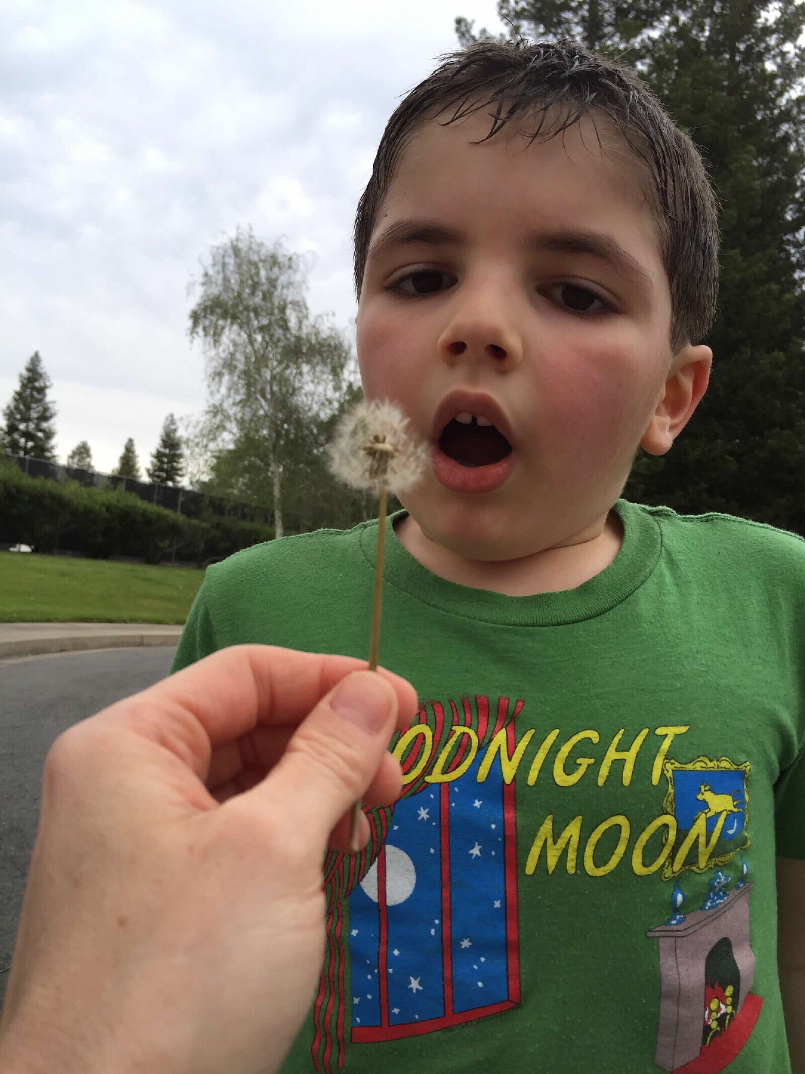 The Quiet Way Home | Little Learning Lane