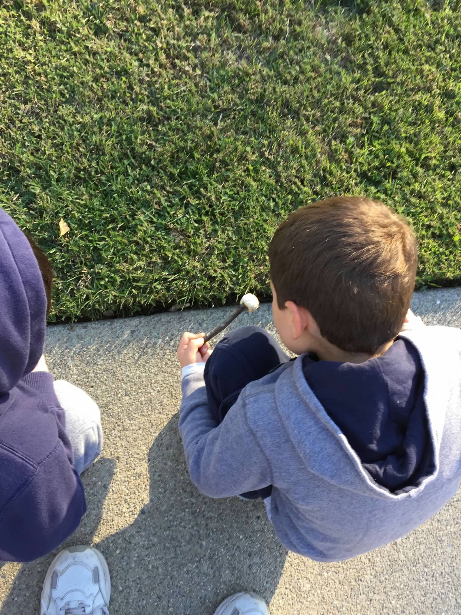 img_3601 | Little Learning Lane