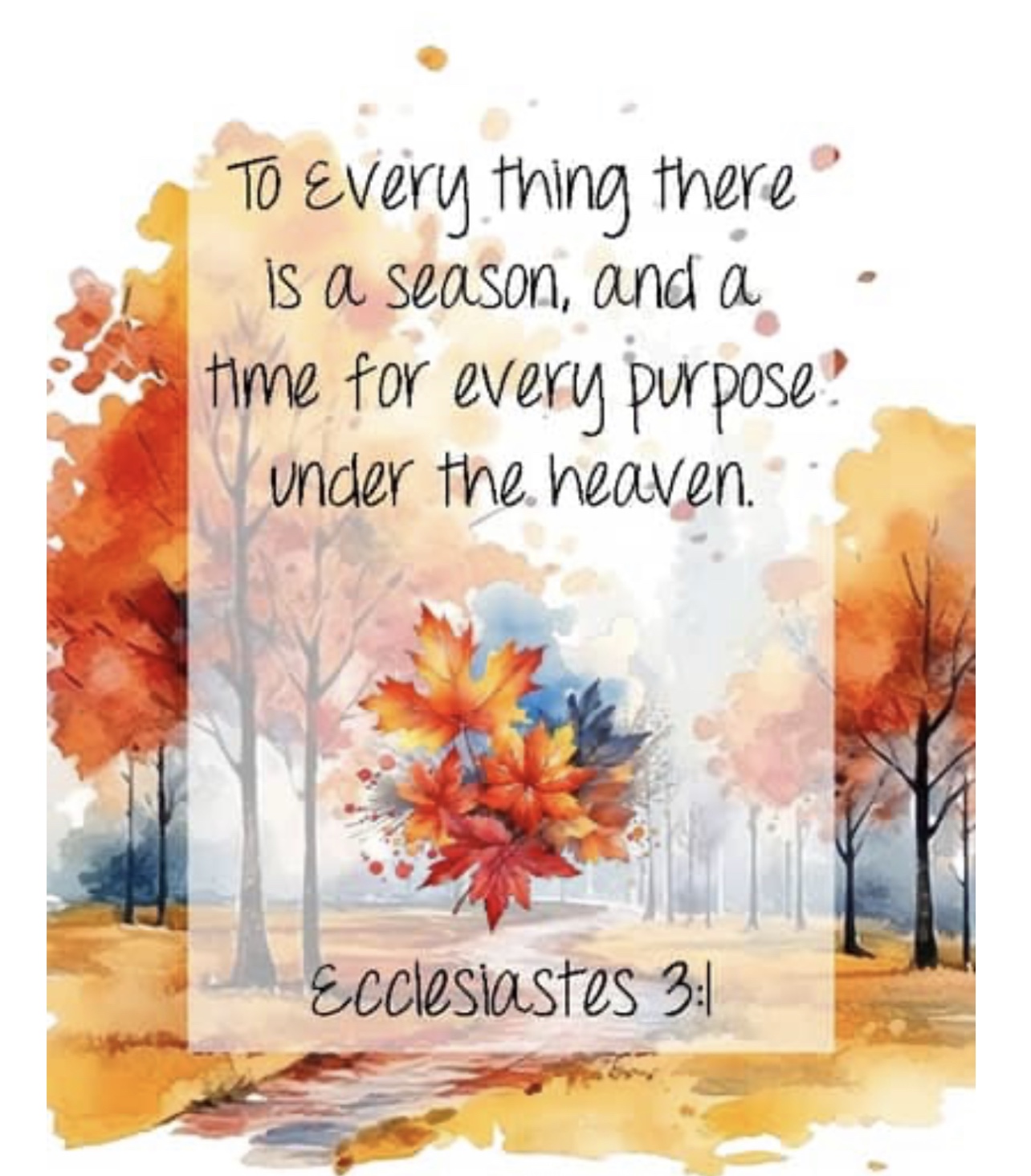 img_2833-1 | Little Learning Lane